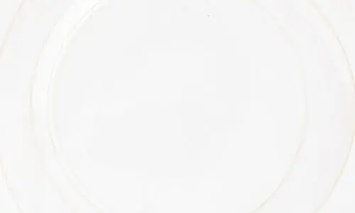 VIETRI Luna Salad Plate