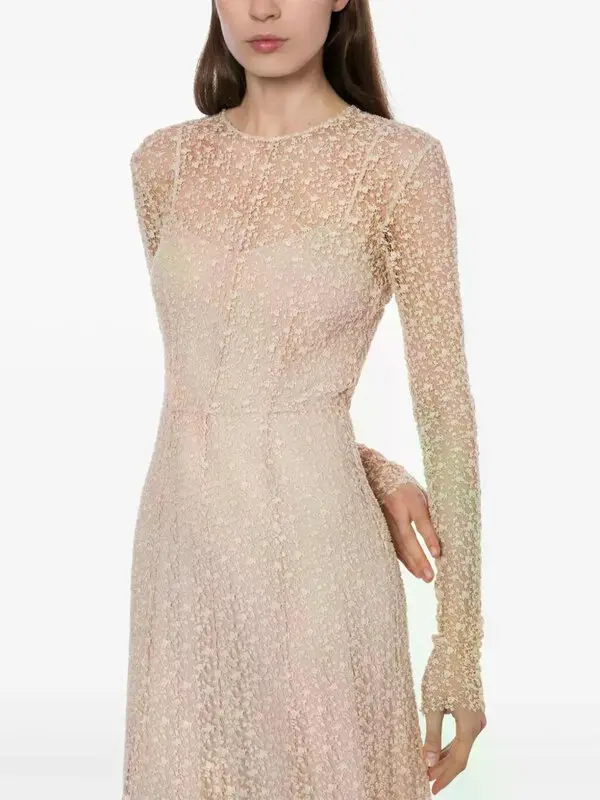Philosophy Di Lorenzo Serafini Sheer Gown