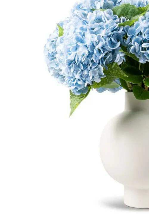 COCOBELLA Marla Realtouch Hydrangea Arrangement