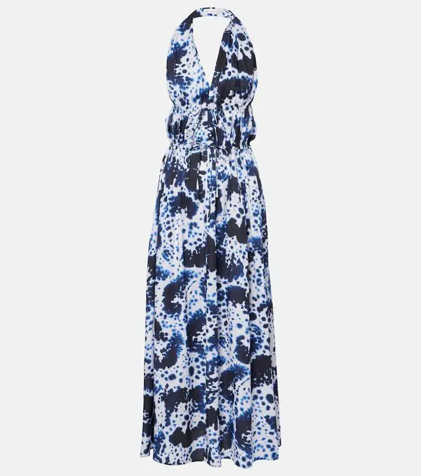 Dries Van Noten Printed Halterneck Maxi Dress