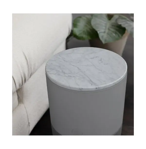 DUPRAY Bloom Air Purifier