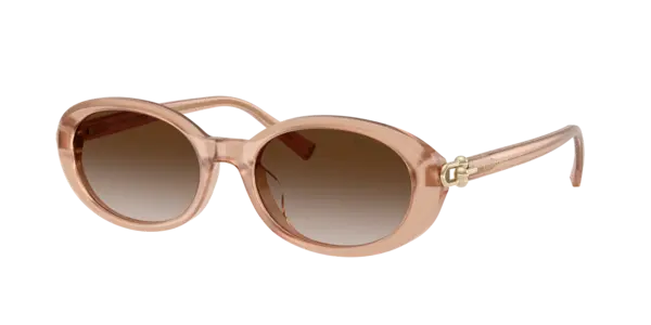 Tiffany & Co. Sunglasses - Brown Gradient