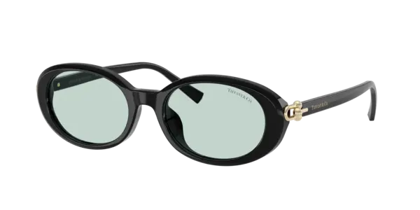 Tiffany & Co. Sunglasses - Light Azure