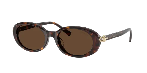 Tiffany & Co. Sunglasses - Light Brown