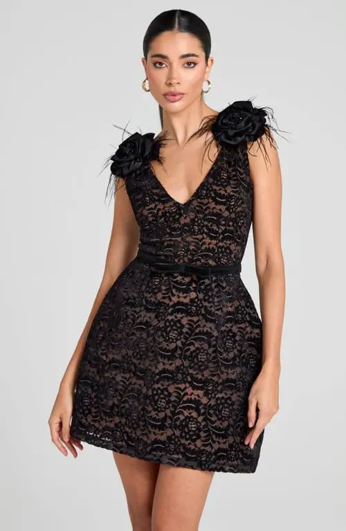 nadine merabi black mini dress You've waited long enough... Our sold out KYRA dress is now back in stock   Our signature MERABI sparkle meets elegant black velvet to make the mini  you'll turn to for every