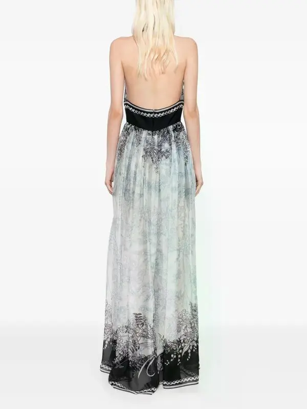 Elie Saab Printed Chiffon Maxi Dress