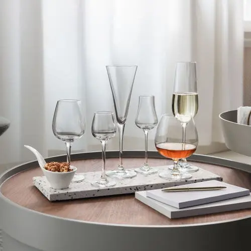VILLEROY & BOCH Purismo Specials Champagne Glasses
