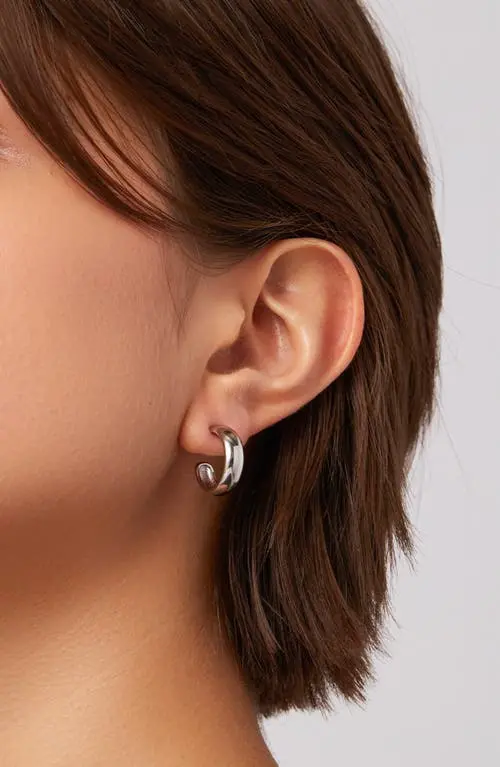 Jenny Bird Small Staple Hoop Earrings - Platinum