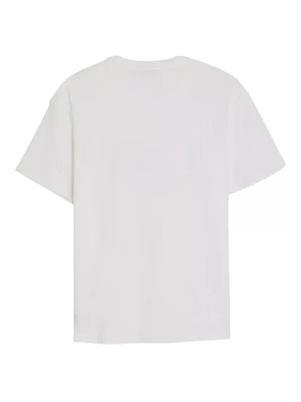Polo Ralph Lauren Novelty Polo Swoosh T-shirt