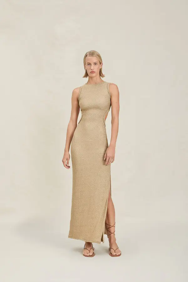 Devon Windsor Maxine Maxi Dress