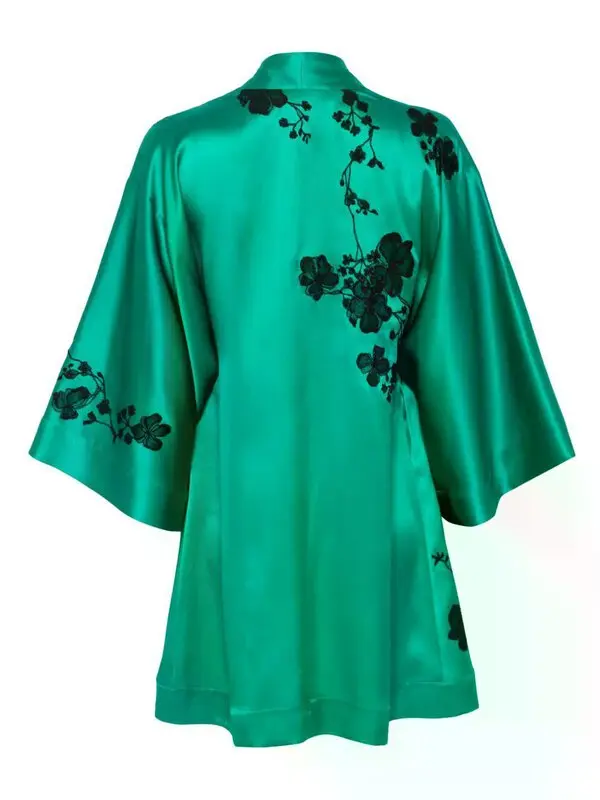 Carine Gilson Lace-detailed Robe