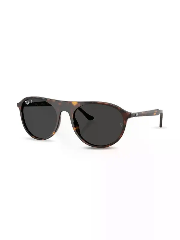 Ray-ban Logo Sunglasses - Brown