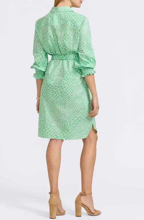 Foxcroft Abby Belted Linen Blend Shirtdress - New Leaf/ White | Editorialist
