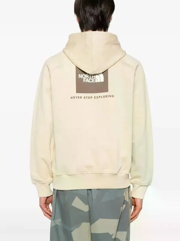 The North Face Raglan Redbox Hoodie - Neutrals