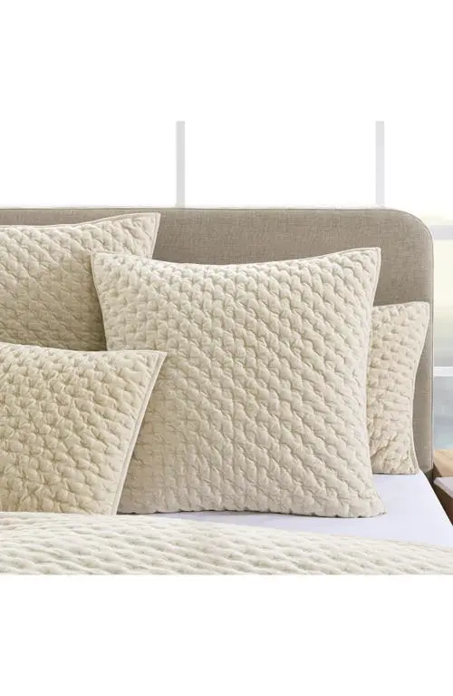 DKNY PURE Velvet Quilt Euro Pillow Sham