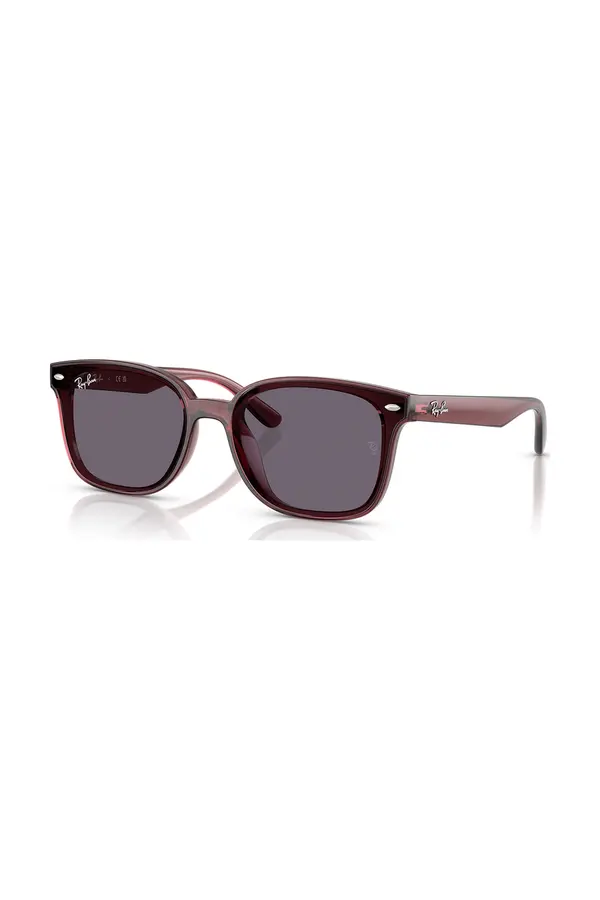 Ray-ban Rectangle Sunglasses - Violet