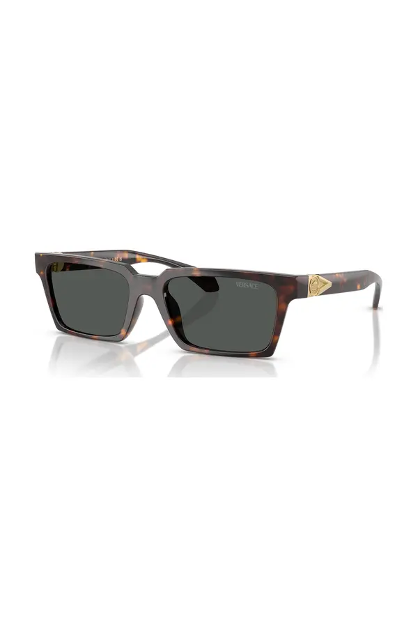Versace Ve4490u Sunglasses