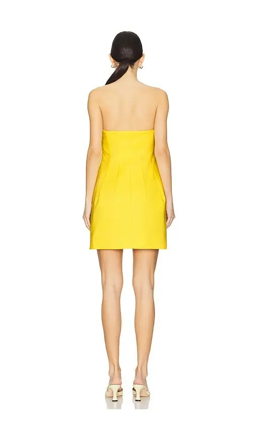 Simkhai Arta Bustier Mini Dress
