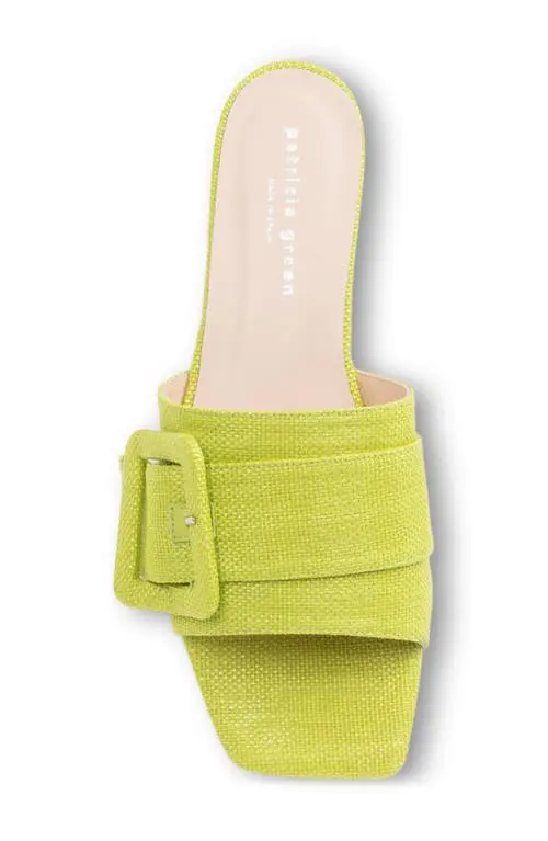 PATRICIA GREEN Bali Raffia Slide Sandal - Lime Green Raffia