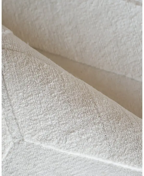EXQUISITE RUGS Brunello Modern 6735 Area Rug, 4' X 6