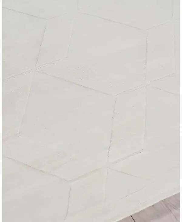 EXQUISITE RUGS Brunello Modern 6735 Area Rug, 4' X 6