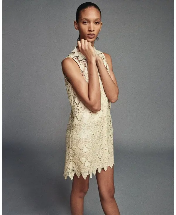 frame deco lace dress The Deco Lace Dress