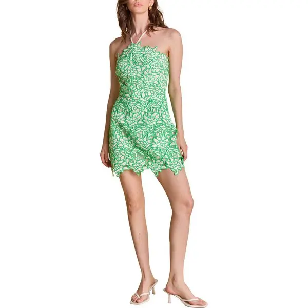 Endless Rose Halter Neck Guipure Lace Mini Dress - White/ Green