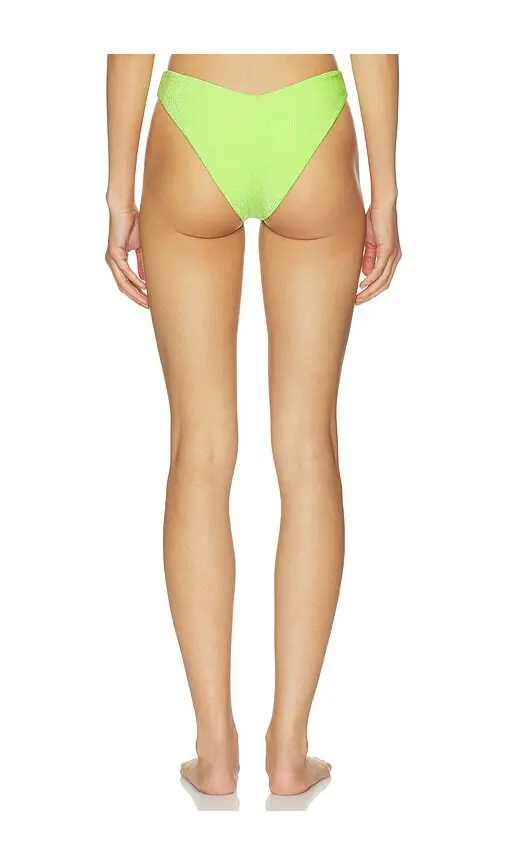 Beach Riot Vanessa Bikini Bottom
