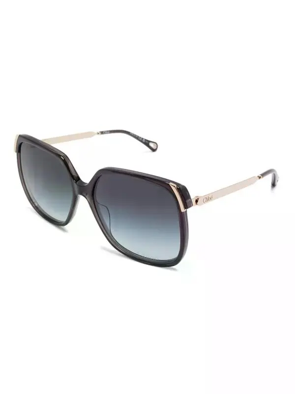 Chloé Butterfly-frame Sunglasses