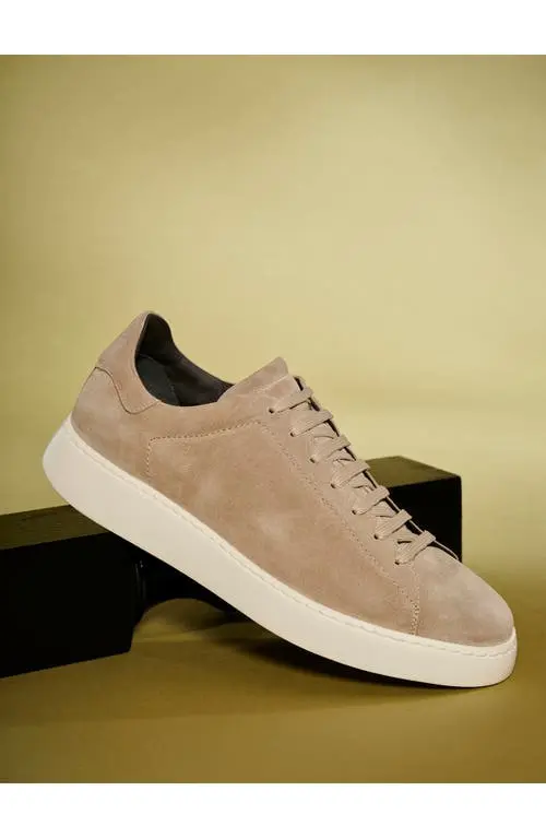 To Boot New York Budy Leather Sneakers - Sand