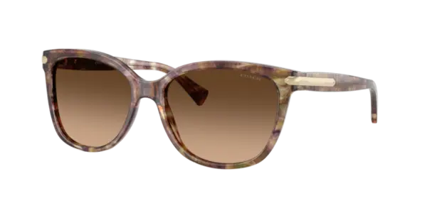 COACH Acetate Cat Eye Sunglasses - Tortoise
