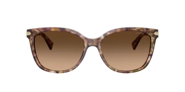 COACH Acetate Cat Eye Sunglasses - Tortoise