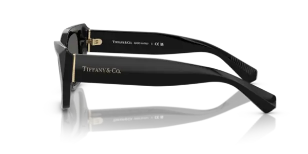 Tiffany & Co. Cat Eye Sunglasses - Black