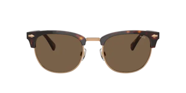 Polo Ralph Lauren Sunglasses - Shiny Brown Tortoise