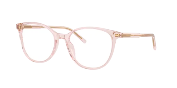Dolce & Gabbana Butterfly Eyeglasses - Transparent Rose