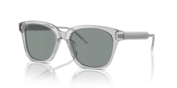 Giorgio Armani Ar8210u - Transparent Gris