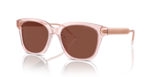 Giorgio Armani Ar8210u - Transparent Pink