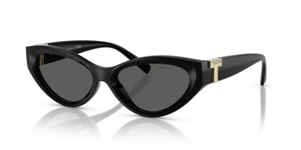 Tiffany & Co. Tf4225u Sunglasses - Noir