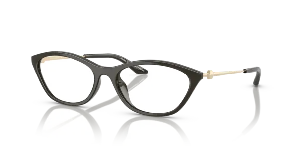 Armani Exchange Eyeglasses - Opalescent Dark Grey