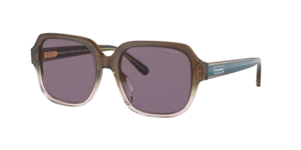 COACH Rectangle Sunglasses - Transparent Brown Gradient