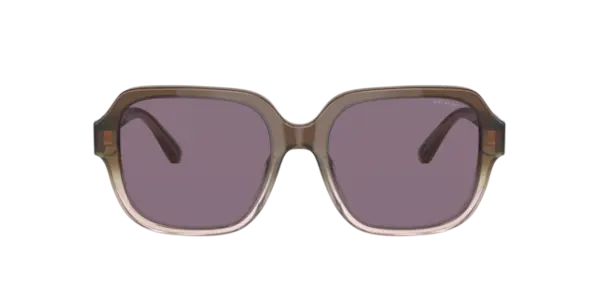 COACH Rectangle Sunglasses - Transparent Brown Gradient