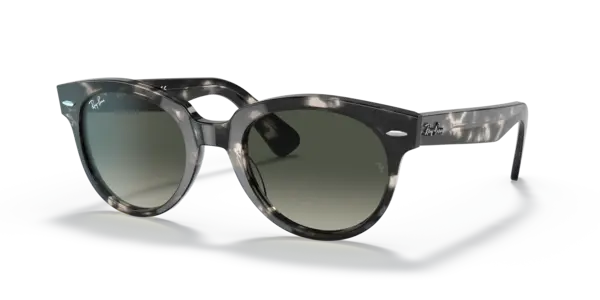 Ray-ban Sunglasses - Havana Gris