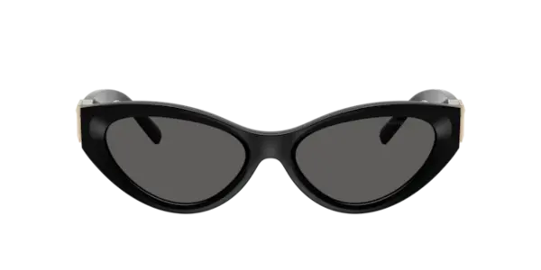 Tiffany & Co. Oval Sunglasses - Black