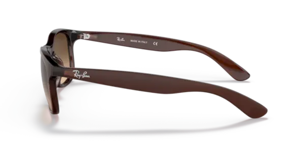 Ray-ban Sunglasses Wayfarer Square Frame - Brown