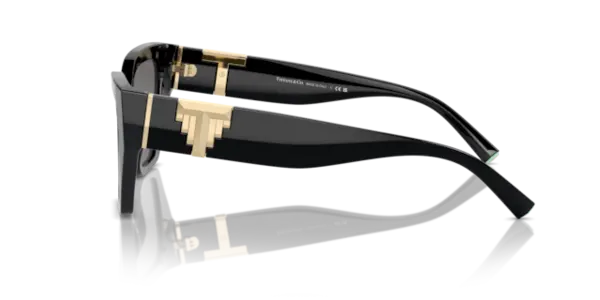 Tiffany & Co. Cat-eye Frame - Black