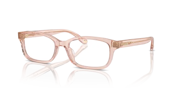 COACH Hc6233u Eyeglasses - Vieux Rose Transparent