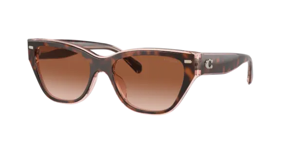 COACH Hc8370u Sunglasses - Tortoise,transparent Pink