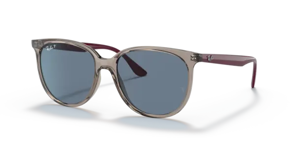 Ray-ban Sunglasses - Transparent Gris