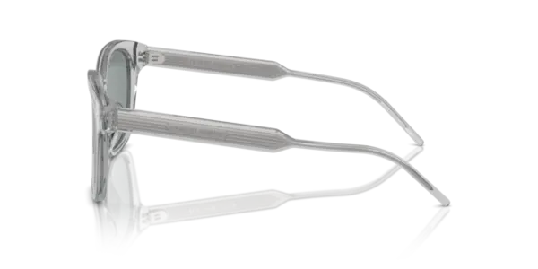 Giorgio Armani Ar8210u Sunglasses - Transparent Grey