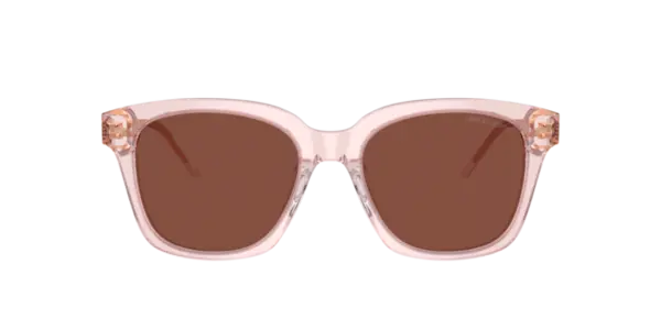 Giorgio Armani Ar8210u Sunglasses - Transparent Pink
